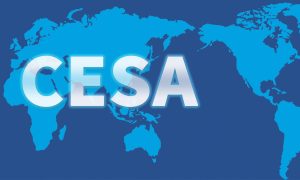 Comparative Education Society of Asia